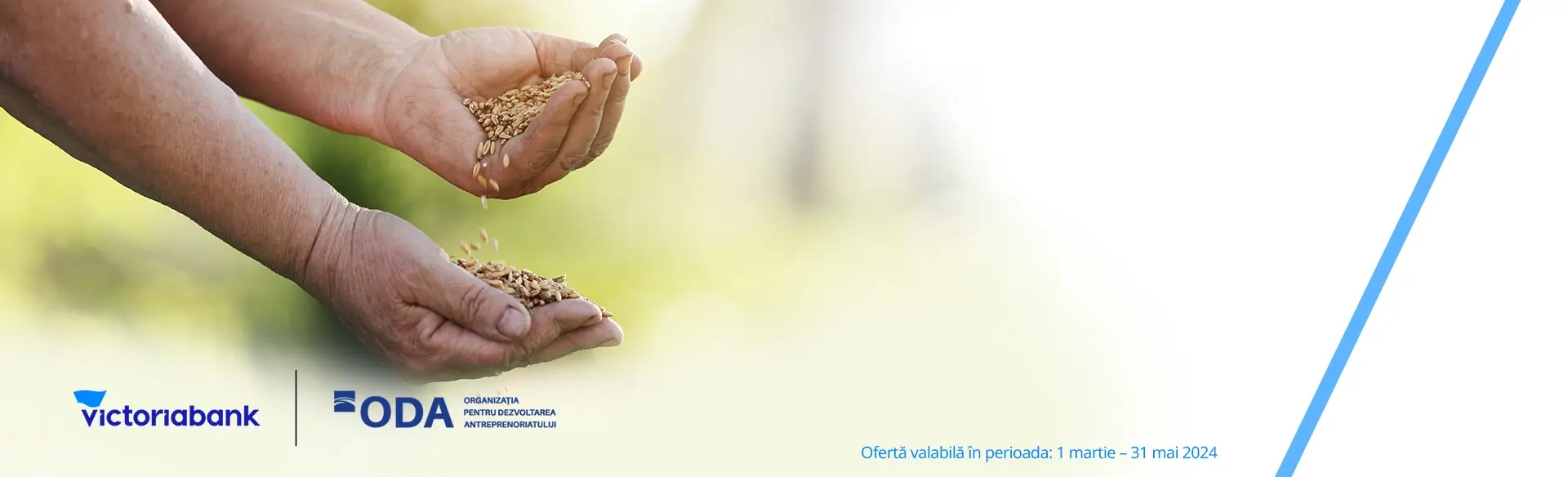 Victoriabank - Услуги для компаний