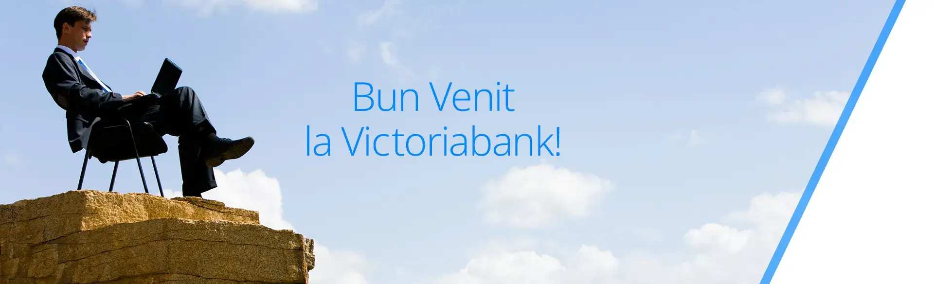 Victoriabank - Servicii pentru companii